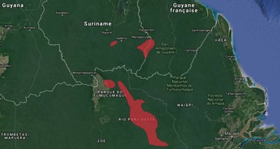 carte wayana — Département de Biologie