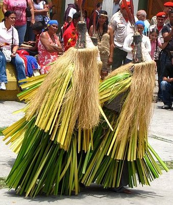 Danse piaroa, Wärime — Département de Biologie